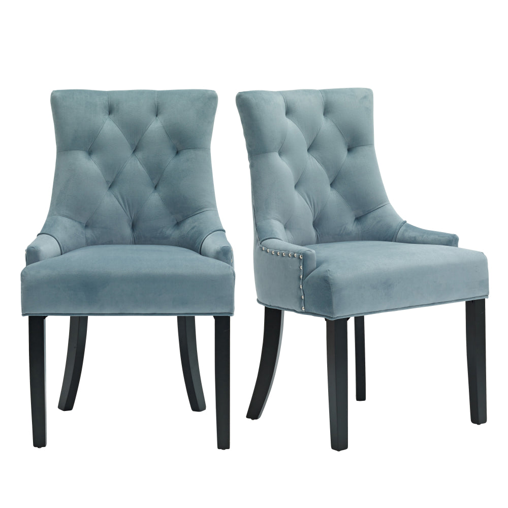 Morgan Dining Chairs - Blue - Set of 2