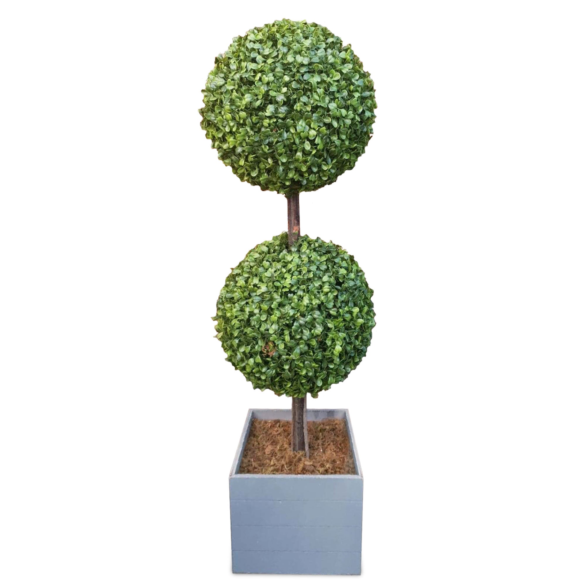 Silver & Stone Artificial Double Buxus Boxwood Ball Tree Wooden Effect
